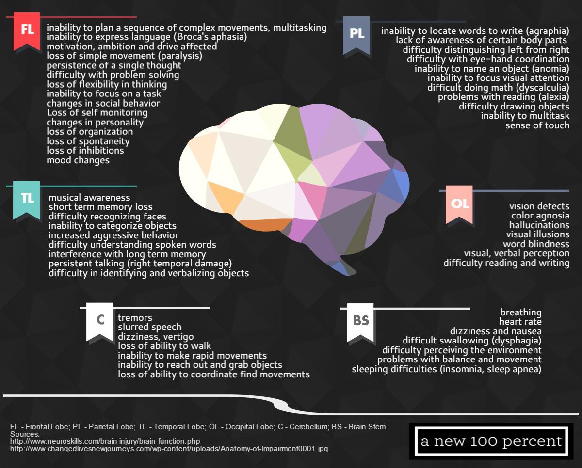 What happens after? Understanding Brain Functionality
